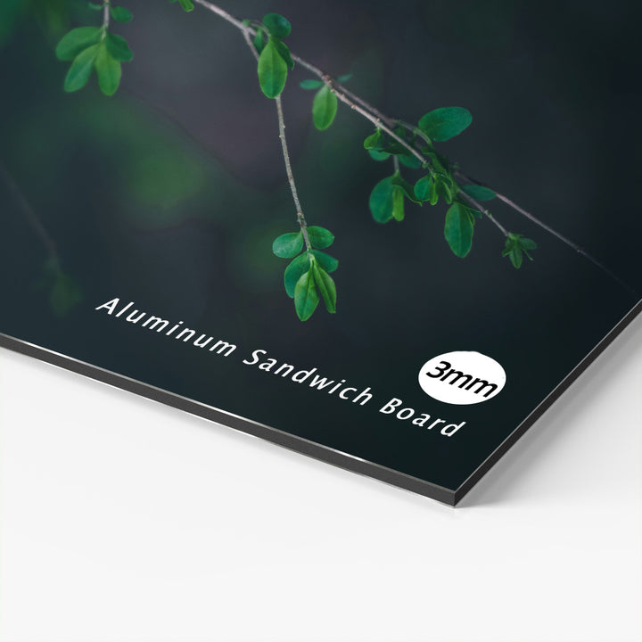 Crisp Imaging | Printing in San Luis Obispo County – Crisp Imaging ...